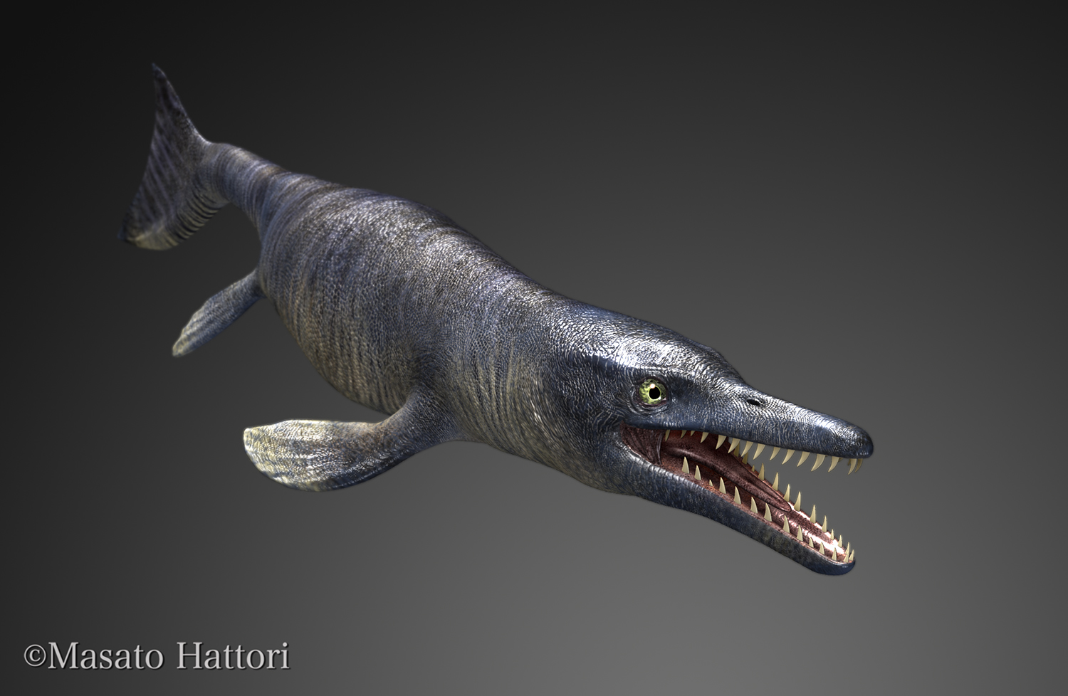 Marchan Blog: フォスフォロサウル ス・ポンペテレガンス Phosphorosaurus ponpetelegans