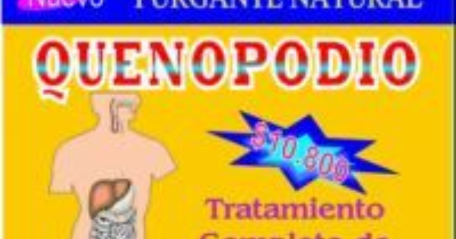 QUENOPODIO PURGANTE | Colchinusa