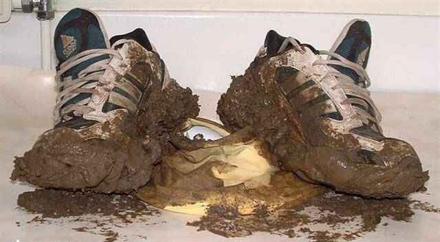 Survival of the Fittest