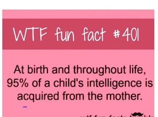 Fun Facts