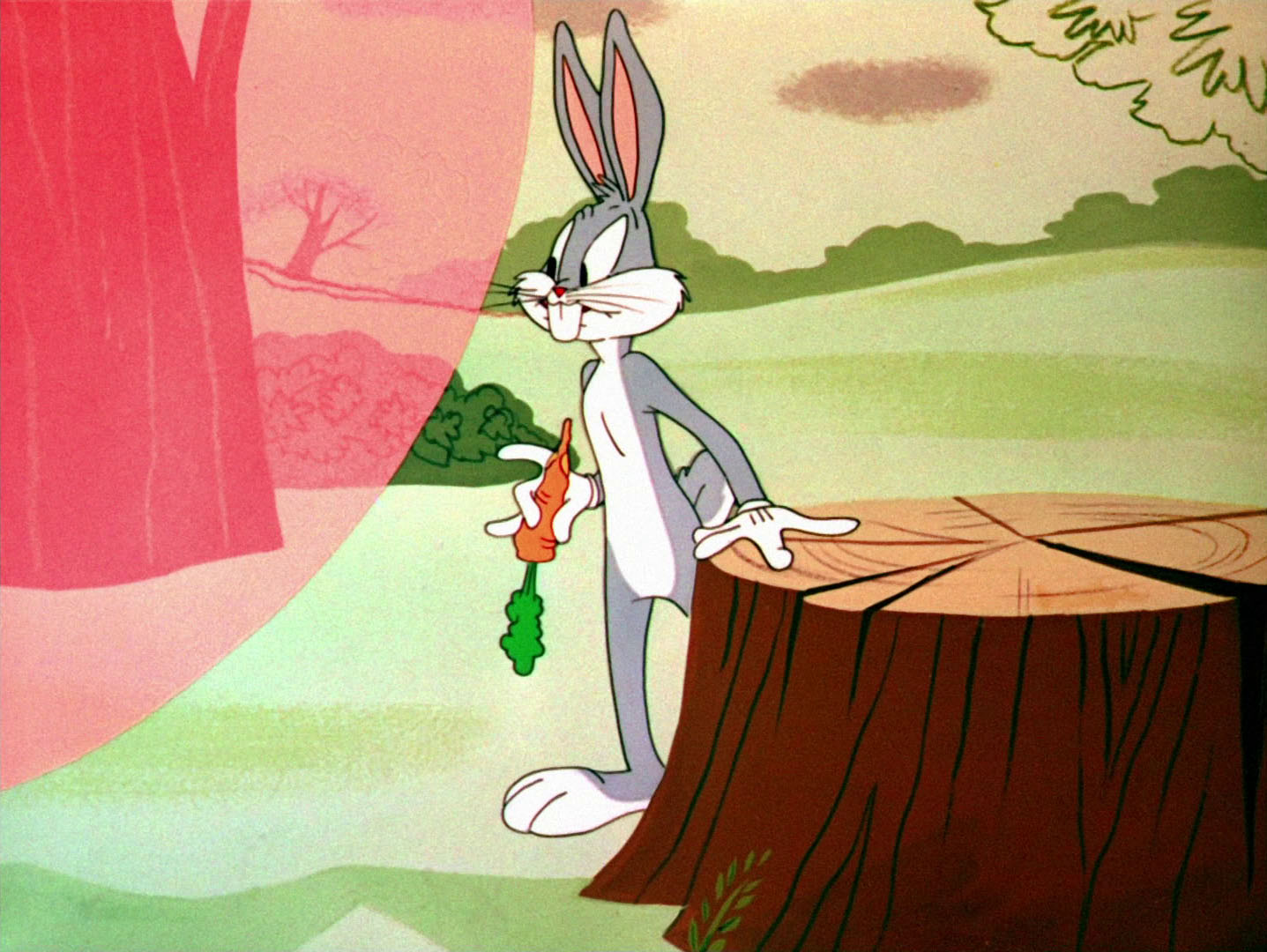 Devil May Hare - cartoon characters