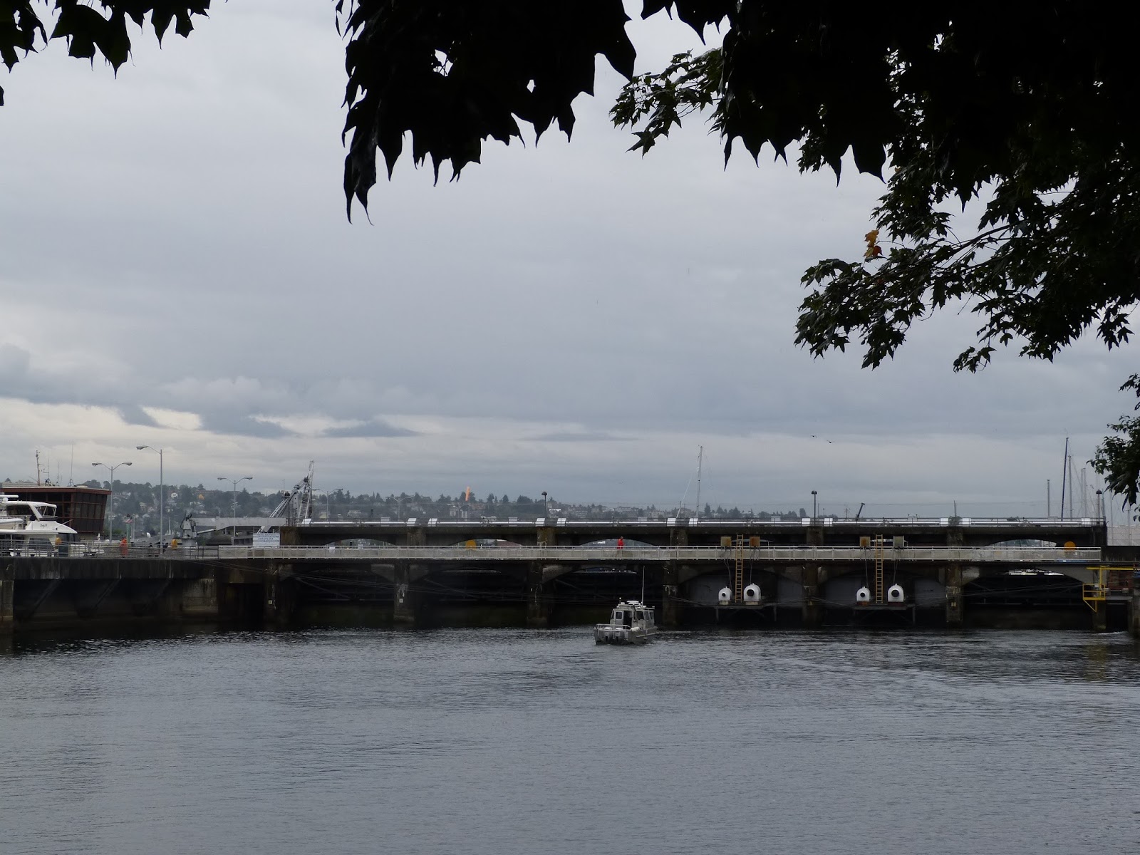 Ray's Retirement: Seattle - the fish ladder