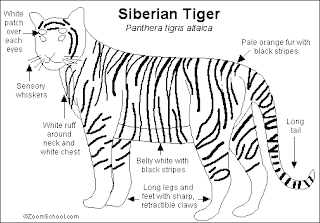 Linh's Blog: April 2011