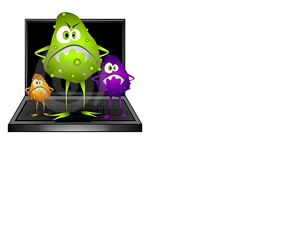 cuantos huesos tiene la mano: Que es bulo