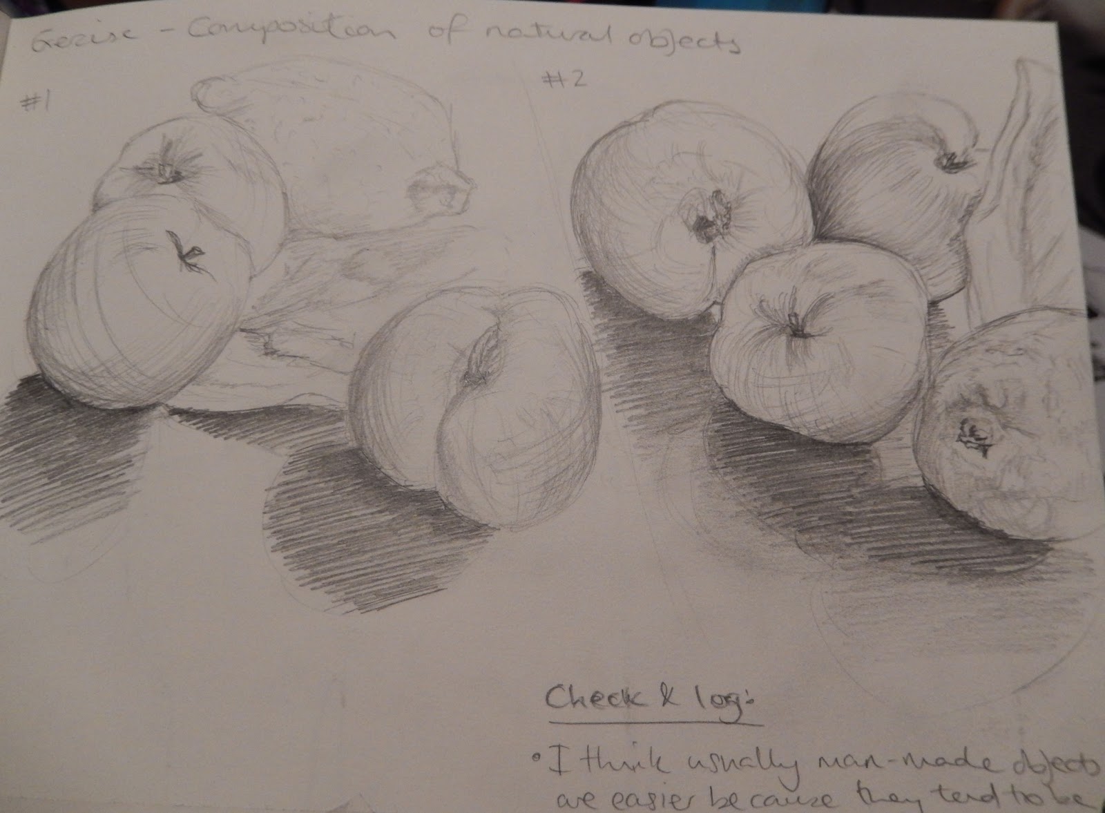 Kim's Blog: Part one - Still life