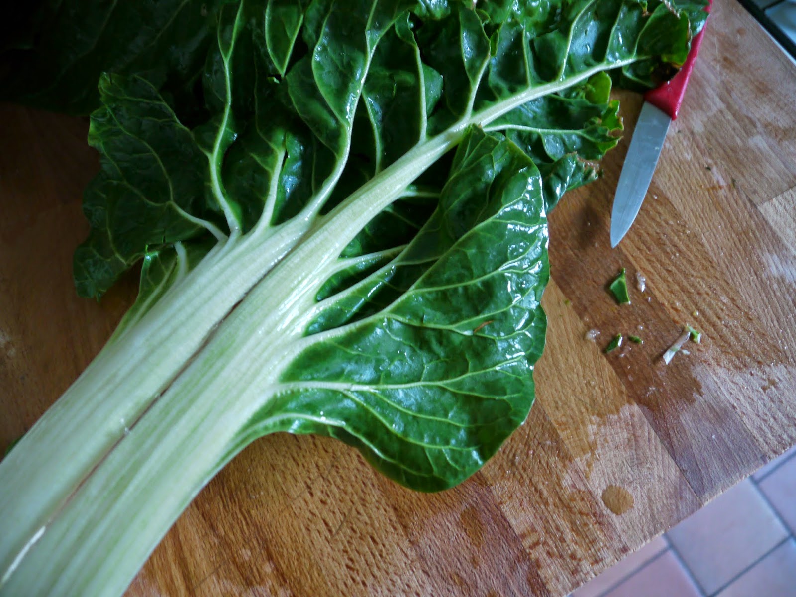 The Medicine: Gratin of Silverbeet Stems with Blue Cheese