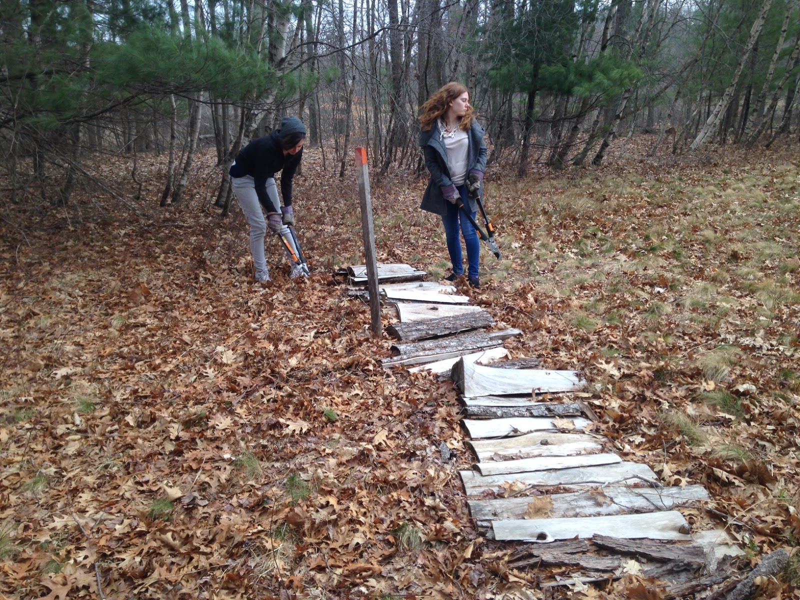 Wildlife Monitor: Vegetation Management Near Snake Cover Boards and ...