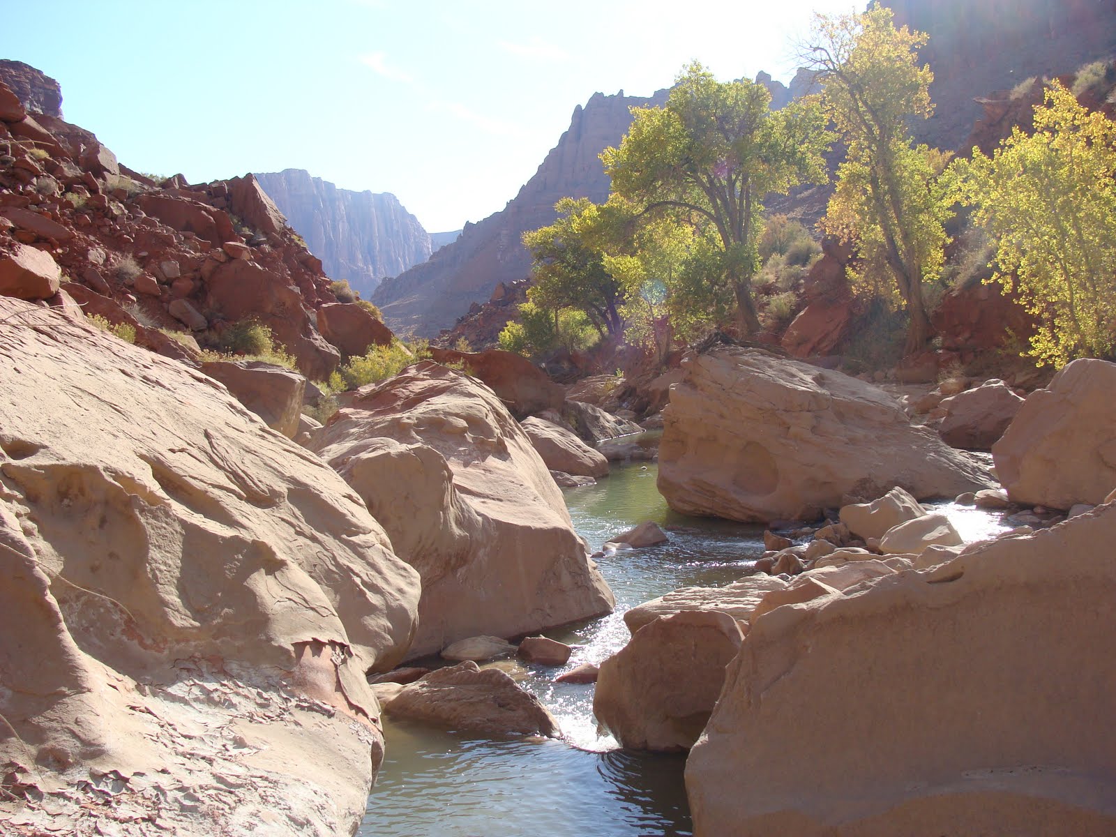 de Jong and de Restless: The Hiking of Paria Canyon: A Picture Diary