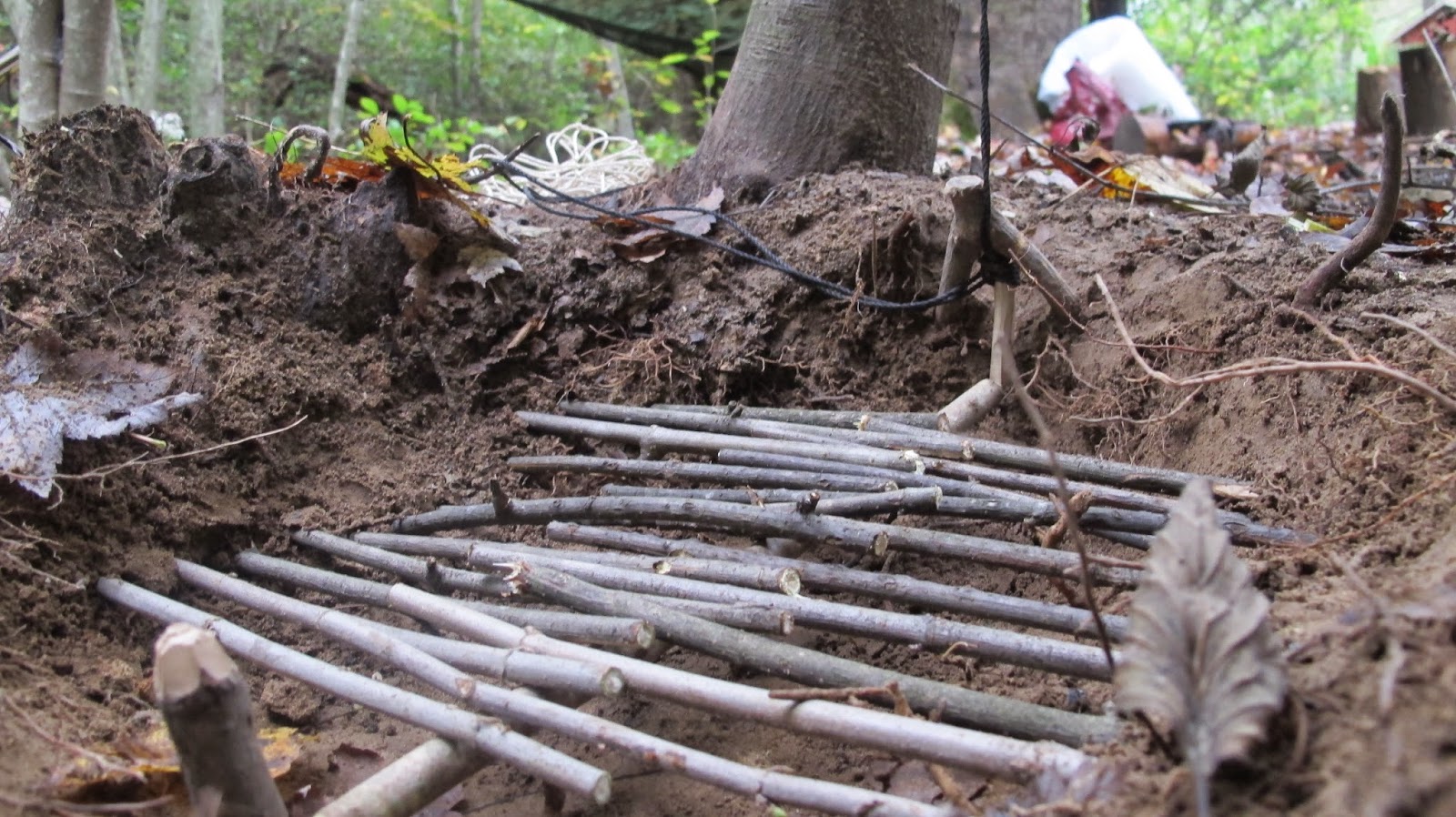 Woodland Wisdom: Survival Trapping