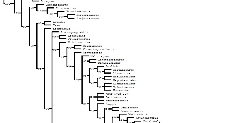 The Theropod Database Blog: Basal theropods in the Lori analysis