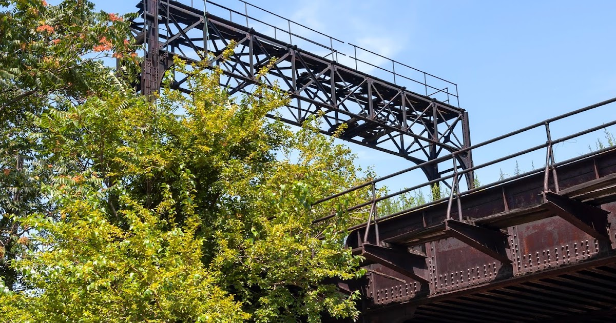 NEW SAVANNA: Two views of a signal tower [the over-hanging tree is a bonus]