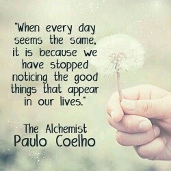 Sunnyshine Unlimited: Freedom from Monotony & Routine? CHANGE things Up.