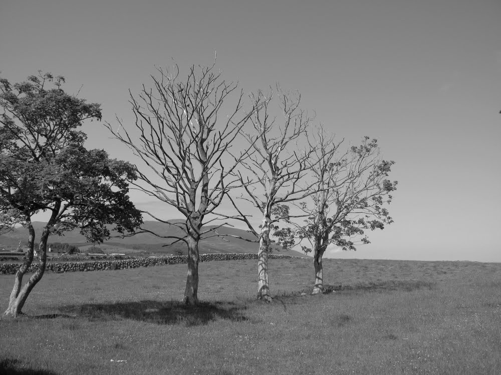 Technique Twelve: unusual viewpoints