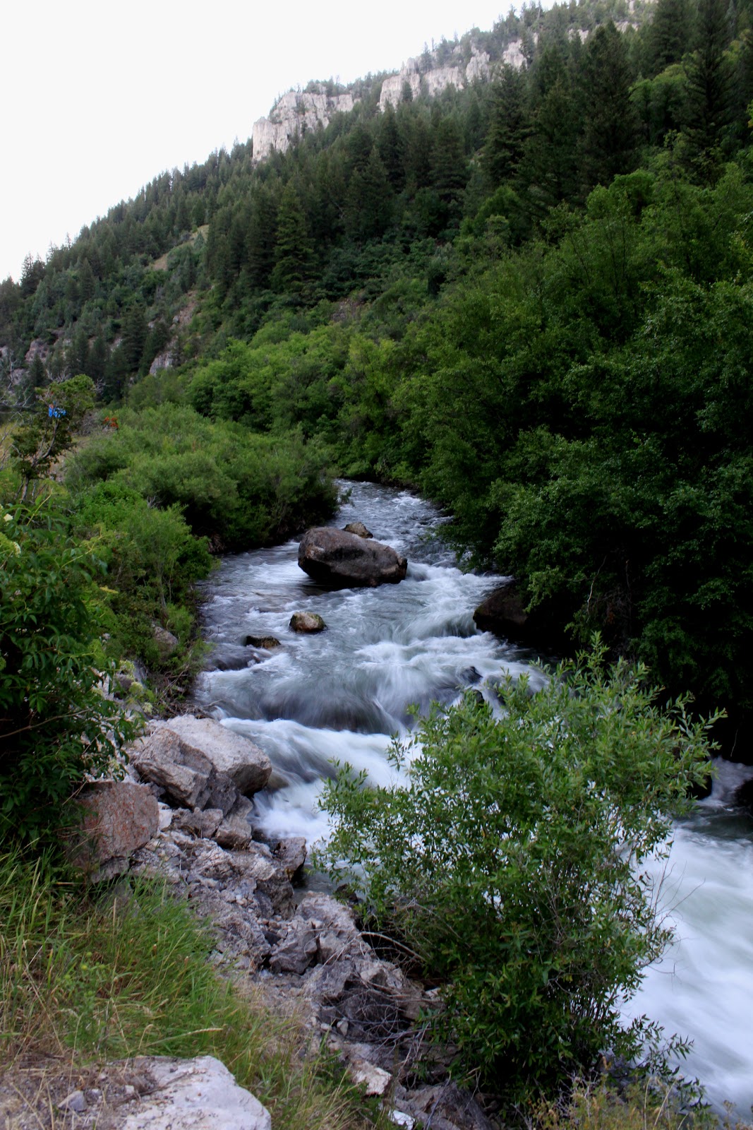River Tales: Logan River Utah