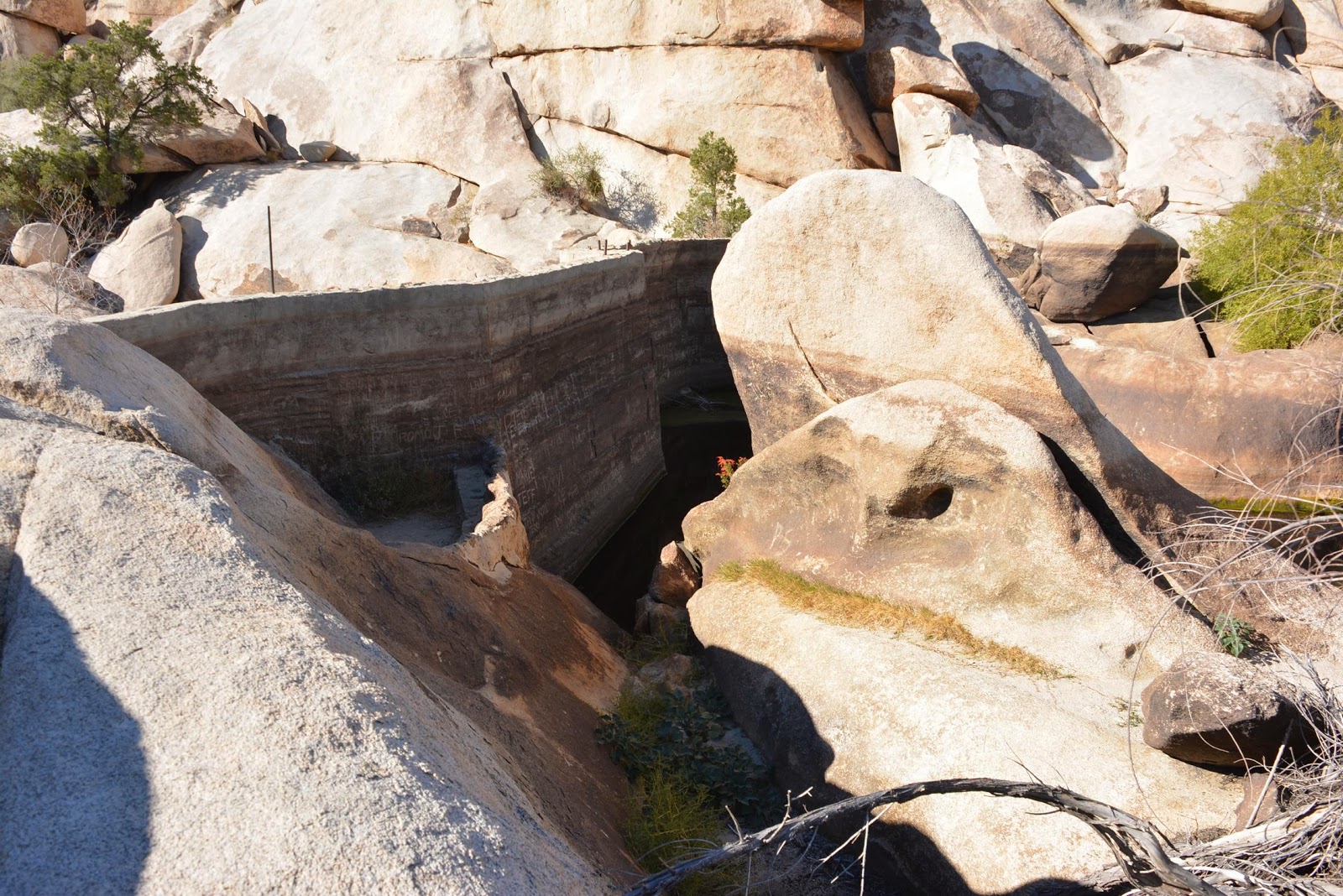 Patrick Tillett: Barker Dam and Disney Petroglyphs - Joshua Tree NP