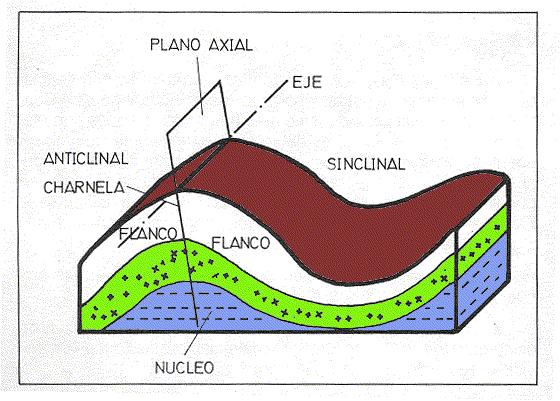 Unidad 3 - 1º de ESO