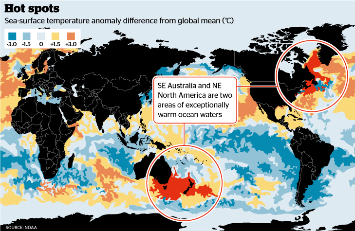 Seemorerocks: Global temperature hotspot in Tasman Sea