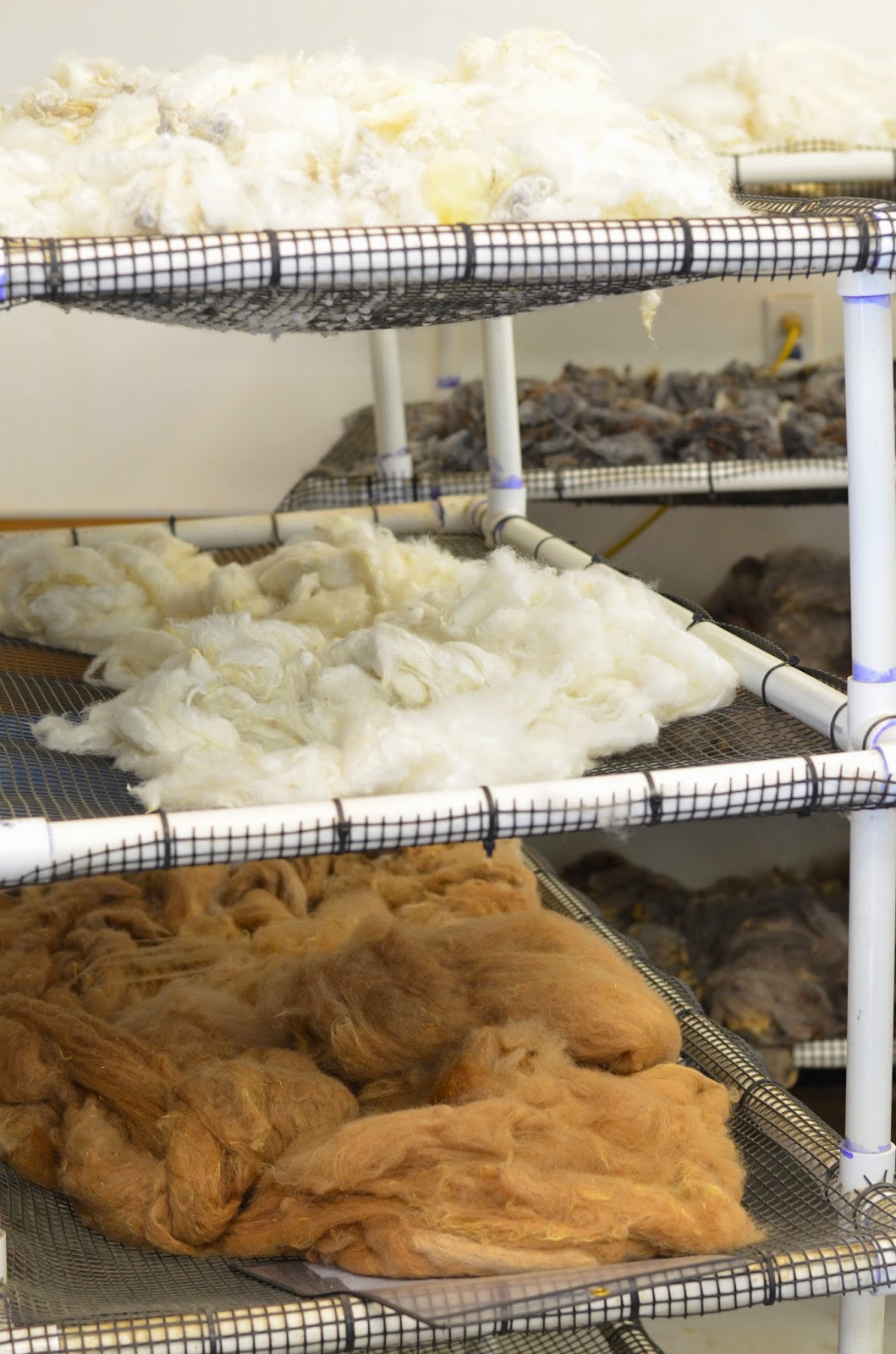 The Taea Made Blog: A Tour of Dakota Fiber Mill