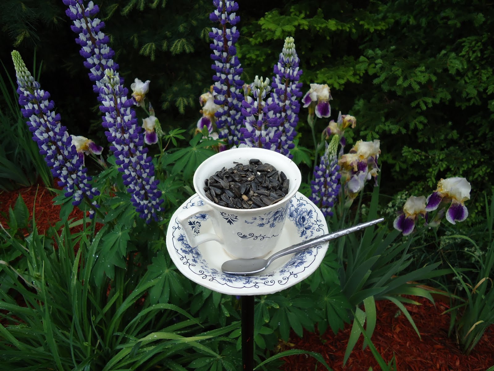 Tea Cup Bird Feeder