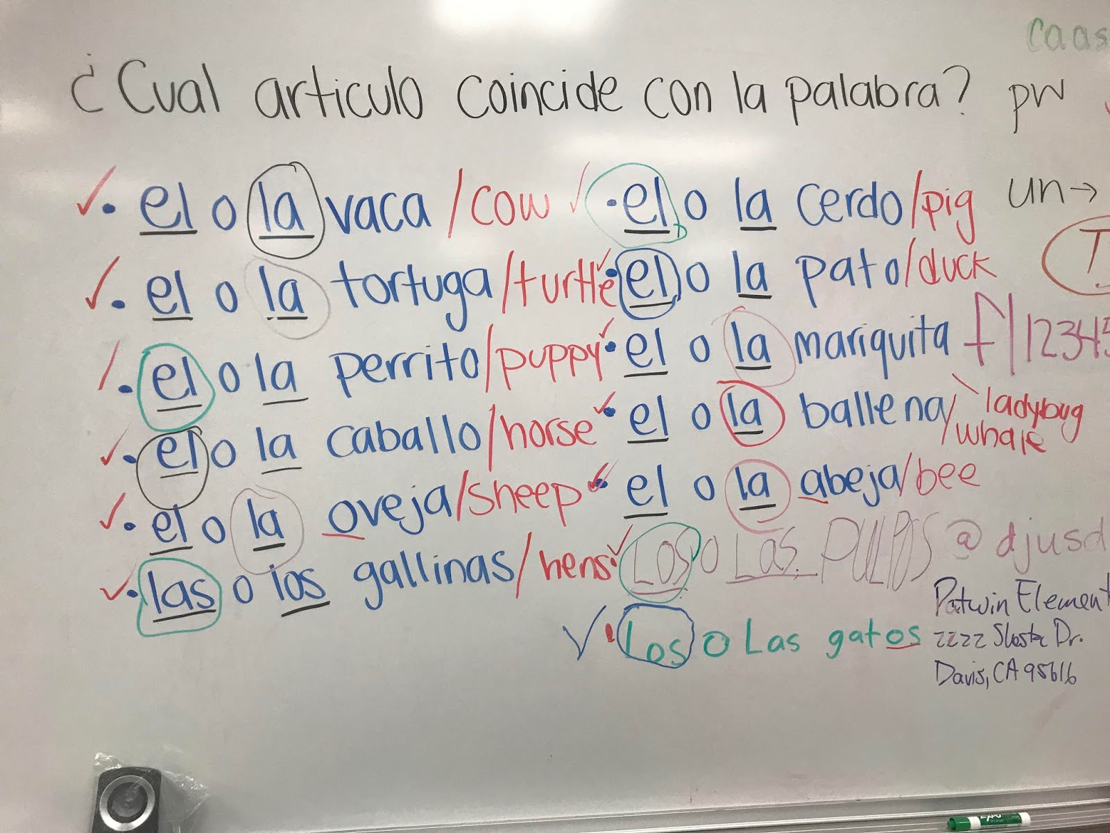 Teach Another Language to Kids (T.A.L.K.) Davis CA: Intermediate ...