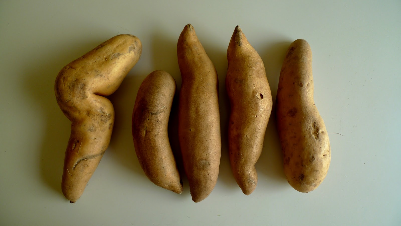 Bon Appétempt: How to Cook a Wolf's Sweet Potato Pudding