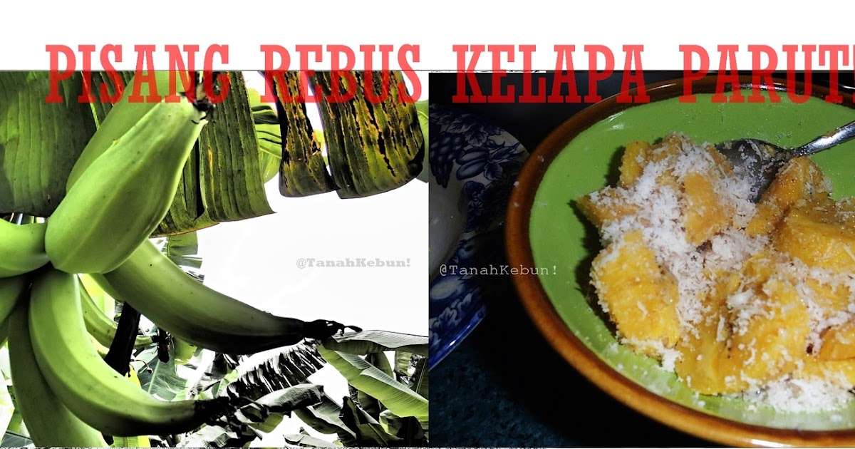 MJ-KAKI CONTENG: PISANG REBUS KELAPA PARUT