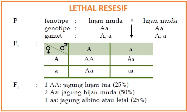 Penyimpangan Semu Hukum Mendel - Interaksi Alel | de Biology
