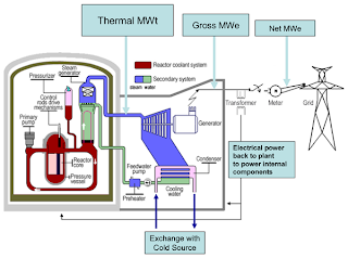 Researching Nuclear Energy Industry: How Do Nuclear Plants Work?