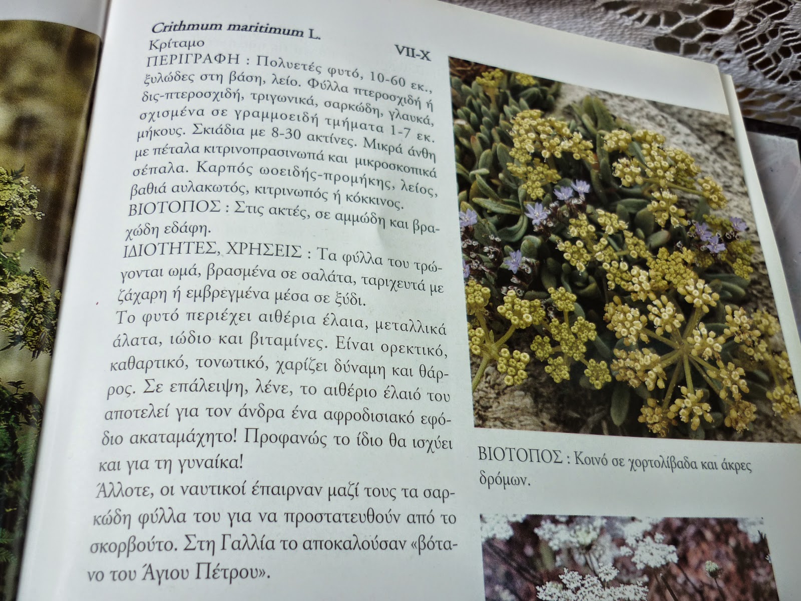 ΤΟ ΑΚΡΙΤΑΜΟ: ΥΓΕΙΑ - ΔΙΑΤΡΟΦΗ