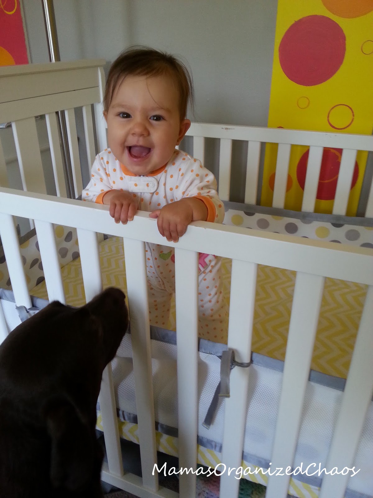 Baby Wonder Weeks - What is the Grey Period? - Mama's Organized Chaos