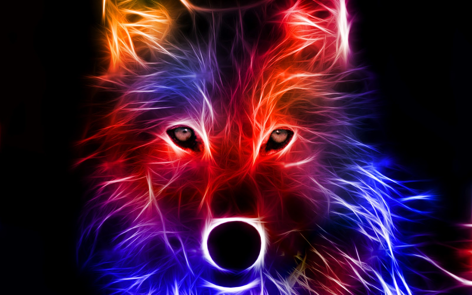 HD Wallpapers Photos & Funny Images: Fractal Wolf Wallpaper