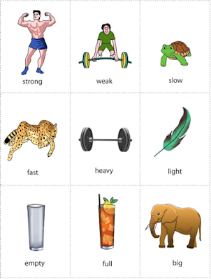 COMMON ADJECTIVES IN ENGLISH FOR YOUNG LEARNERS | ENGLISH LANGUAGE ...