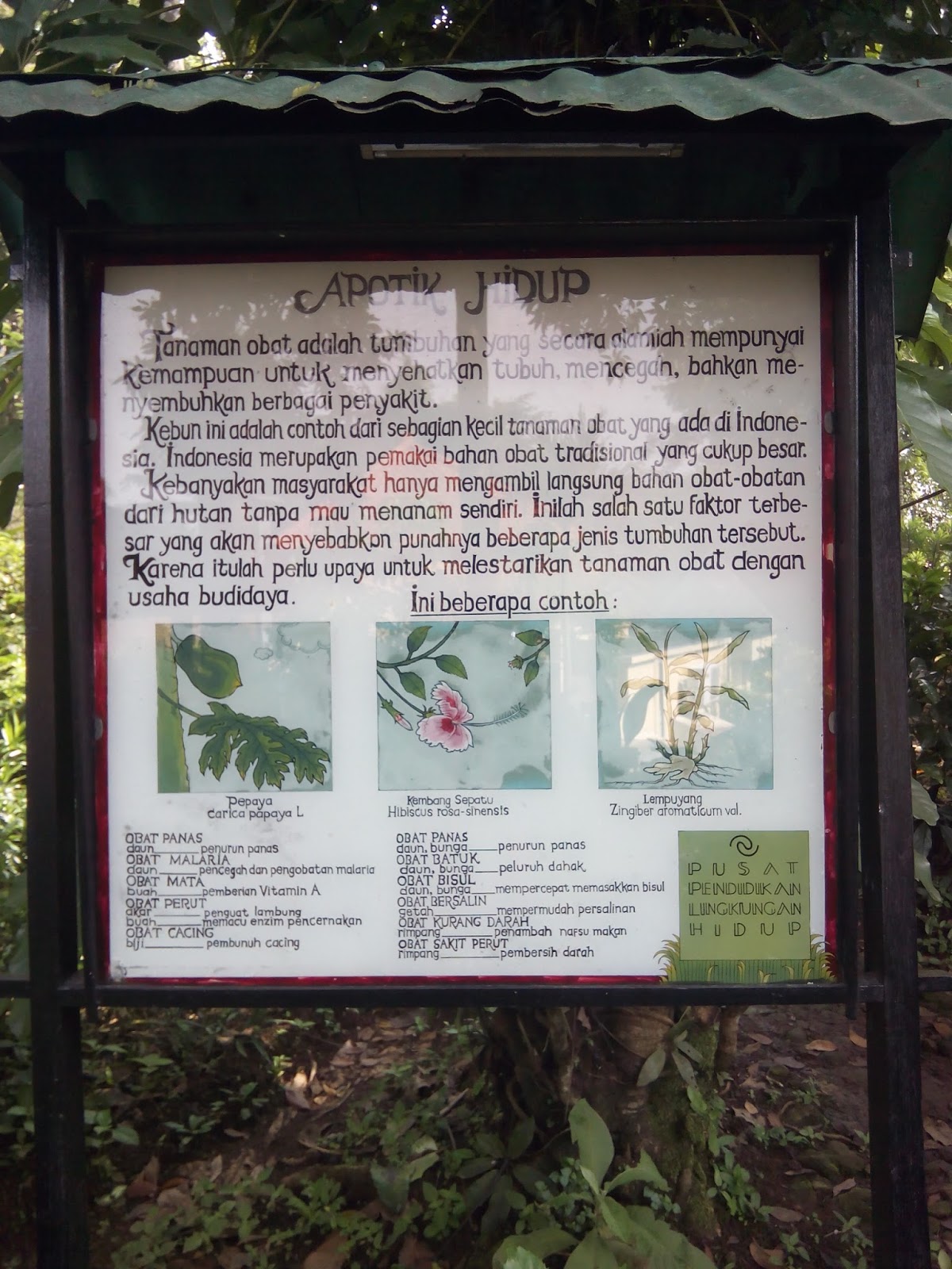 Wisata Edukasi Lingkungan Hidup di PPLH Seloliman | dekamuslim