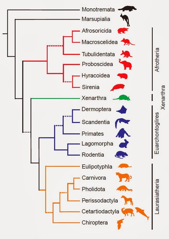 scienzeedintorni: Sperimentazione animale: il solito dibattito manicheo ...