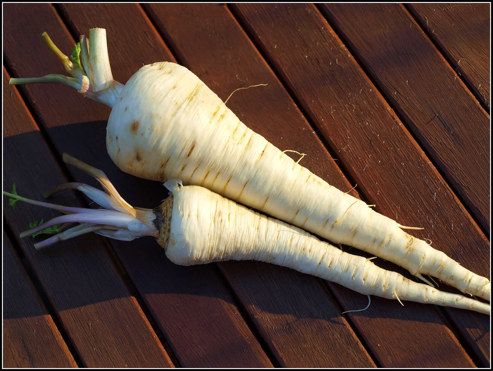 Mark's Veg Plot: From the Sublime to the Ridiculous