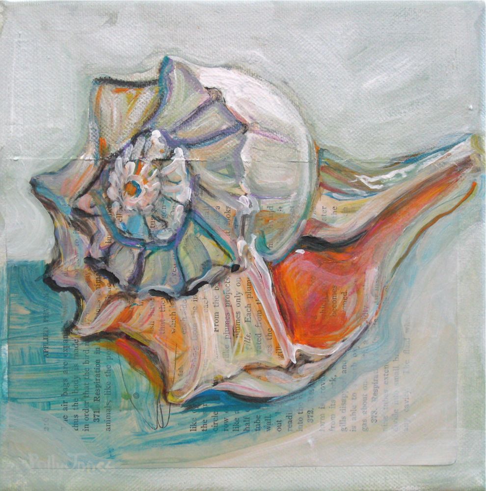 Small Wonders Daily Paintings by Polly Jones: A Clam and a Whelk mixed ...