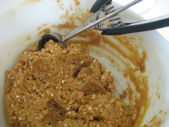 the blest nest: Orb-bit