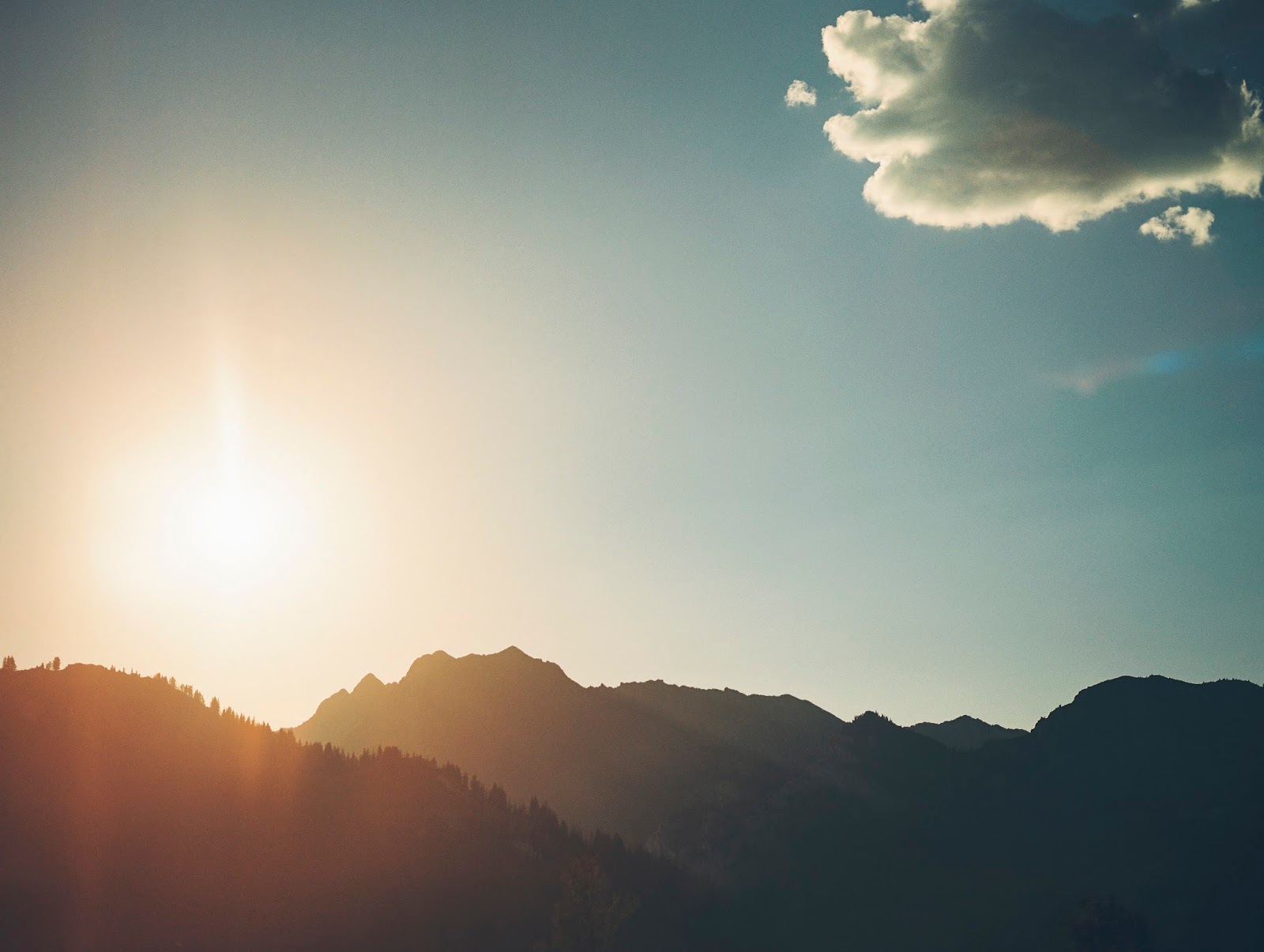 Silver Maple Photography