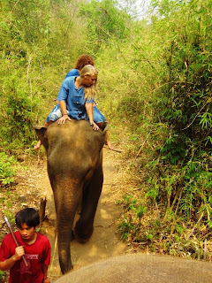 Wander: Bungee Jumping and a day with the Elephants!