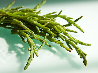 Every Day Is Special: June 17 – Eat Your Vegetables Day