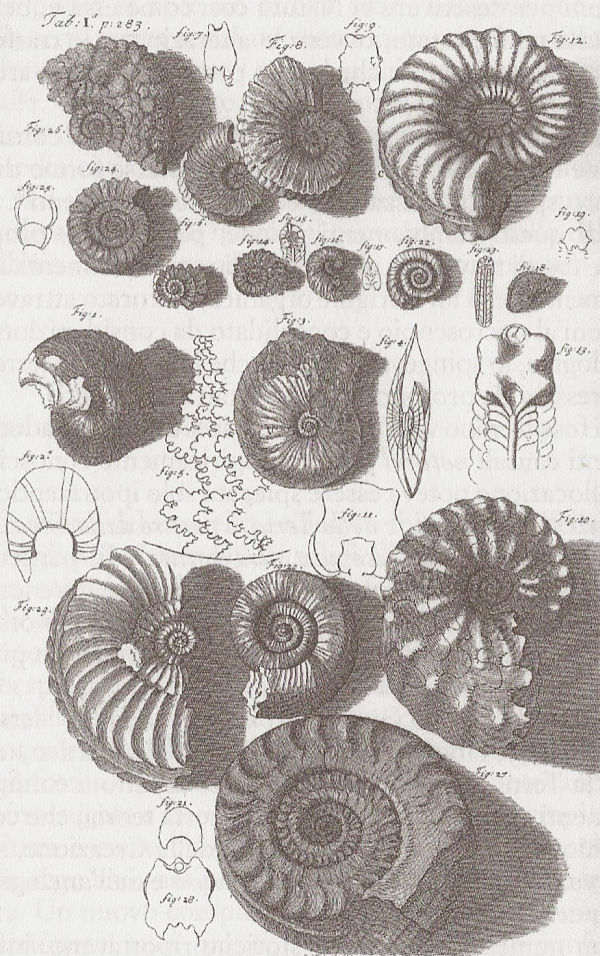 History of Geology: The Last Virtuoso: Robert Hooke and his ...