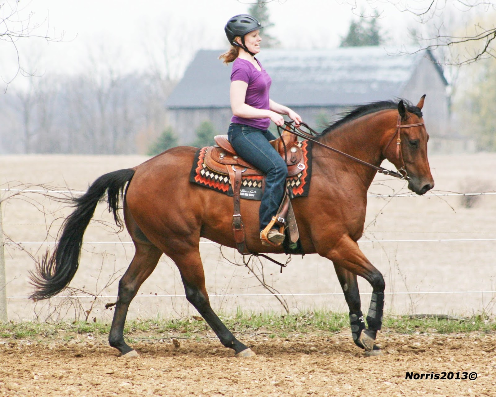 Elaine Ward Western Style Dressage: Acceptable Outlines for Basic Level ...