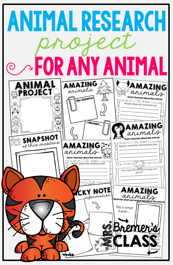 Animal Research Projects {for ANY animal} | Mrs. Bremer's Class