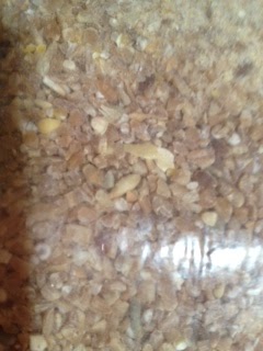 Kelley's Passion for Nutrition and Wellness: What are grains and who ...