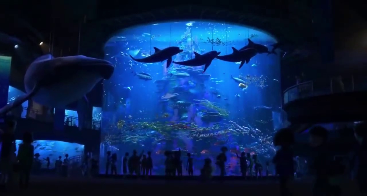 Andria's Blogs: Finding Dory Movie Review: