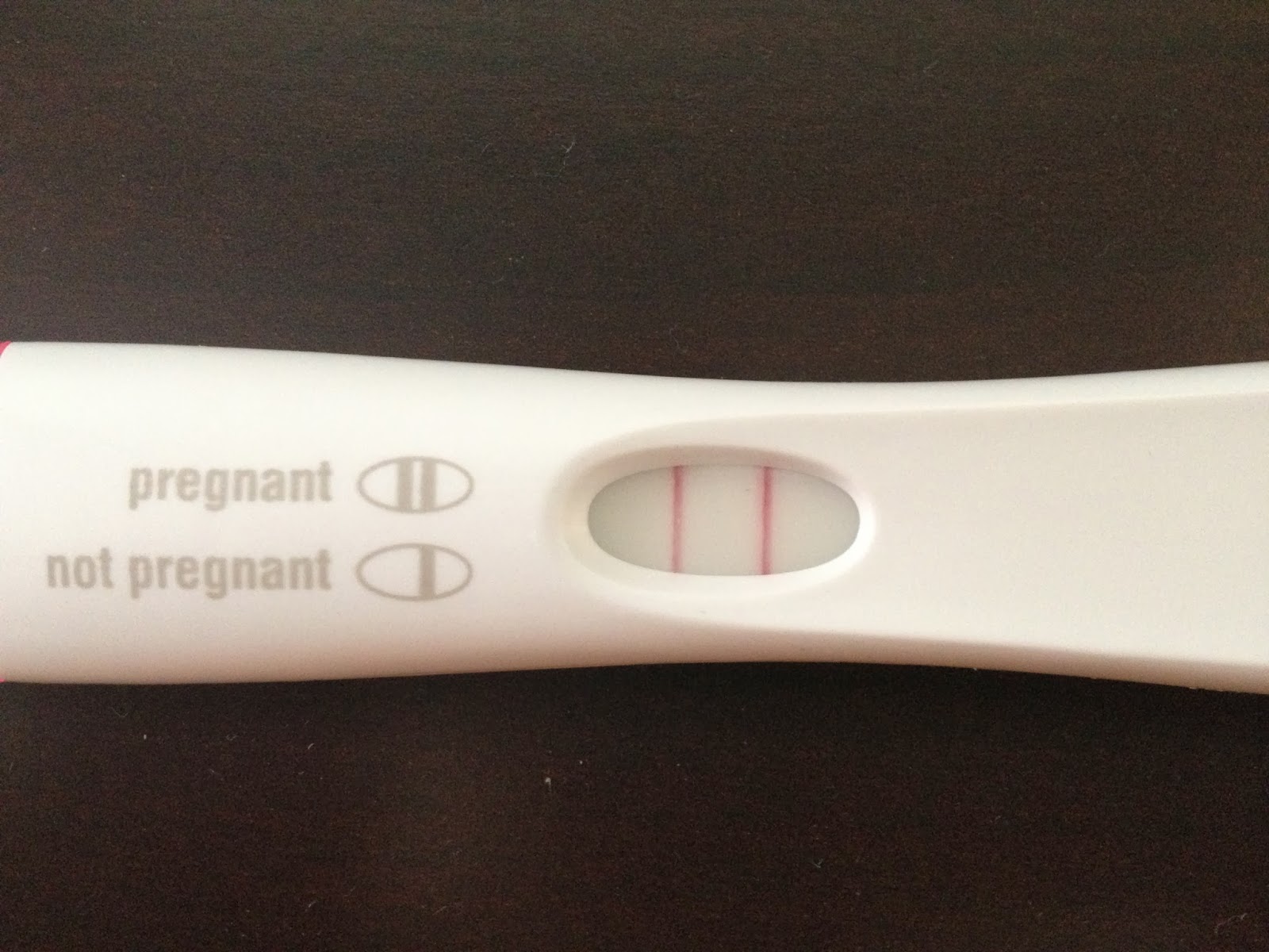 Where is that bird?: 7dp5dt