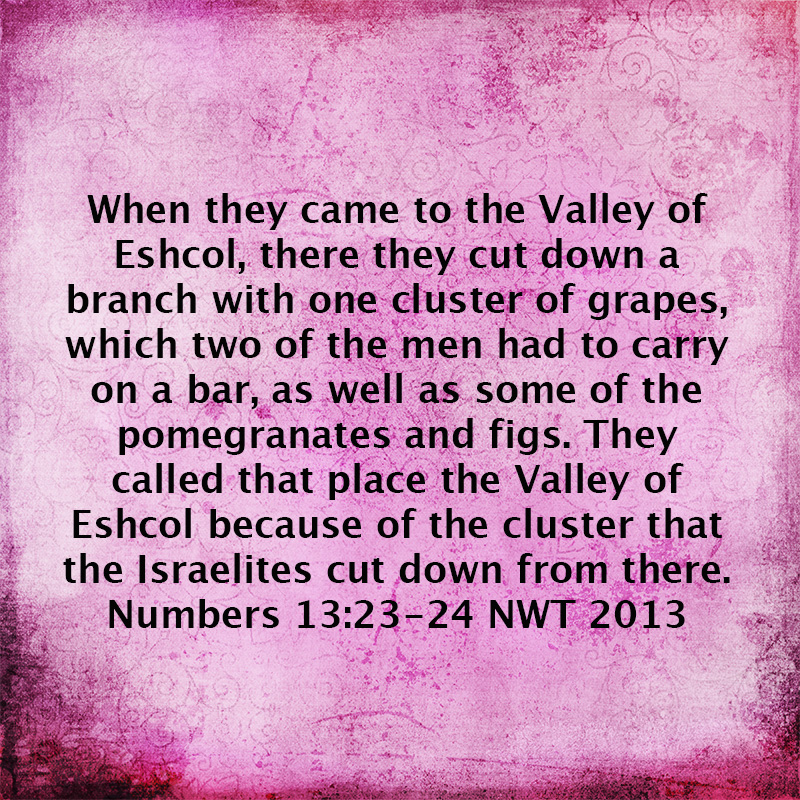 My Bible Reading: NUMBERS