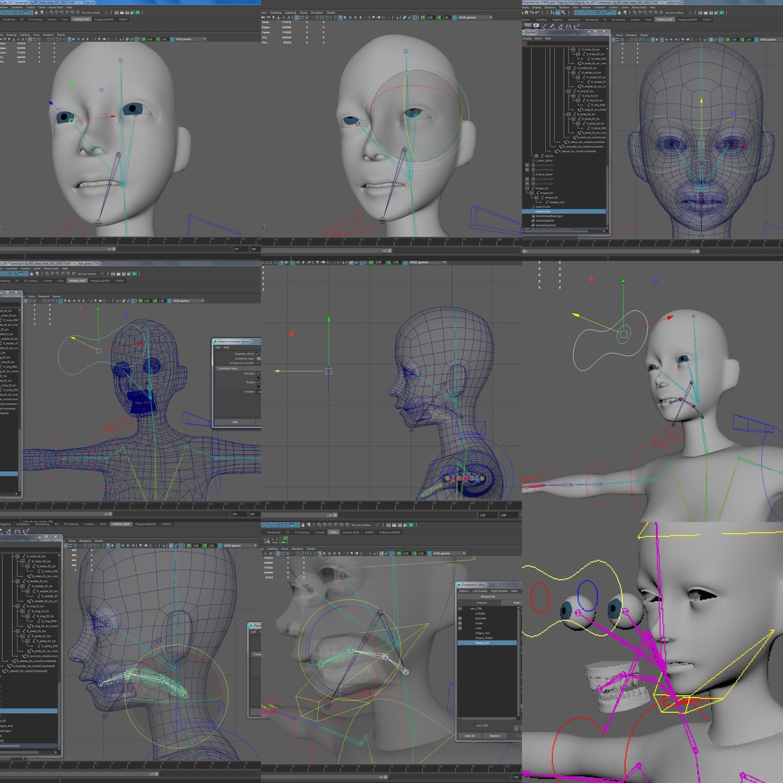 animatedcreativeandreamcswan: Facial Rigging in Maya