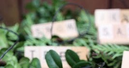 ciao! newport beach: for the love of scrabble