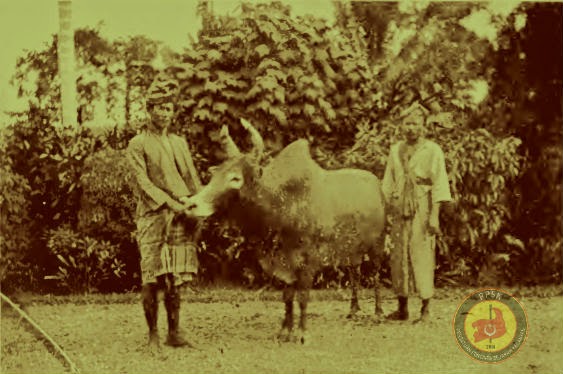 PERSATUAN PENCINTA SEJARAH KELANTAN: Jogho antara Kehidupan dan Jati ...